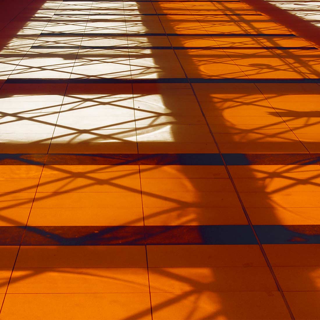 LT Root Construction – Construction Contractor In The Eastern Cape Region